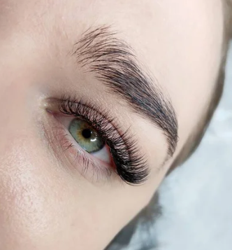 Combined Classic, Russian & Hybrid Lashes Online Course – Elizabeth ...
